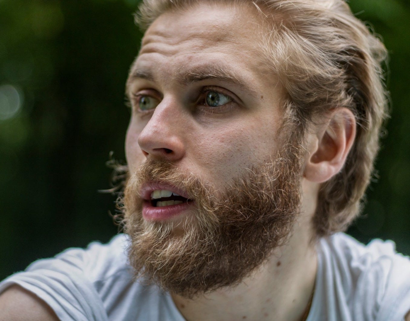 Federico Baccini | Substack