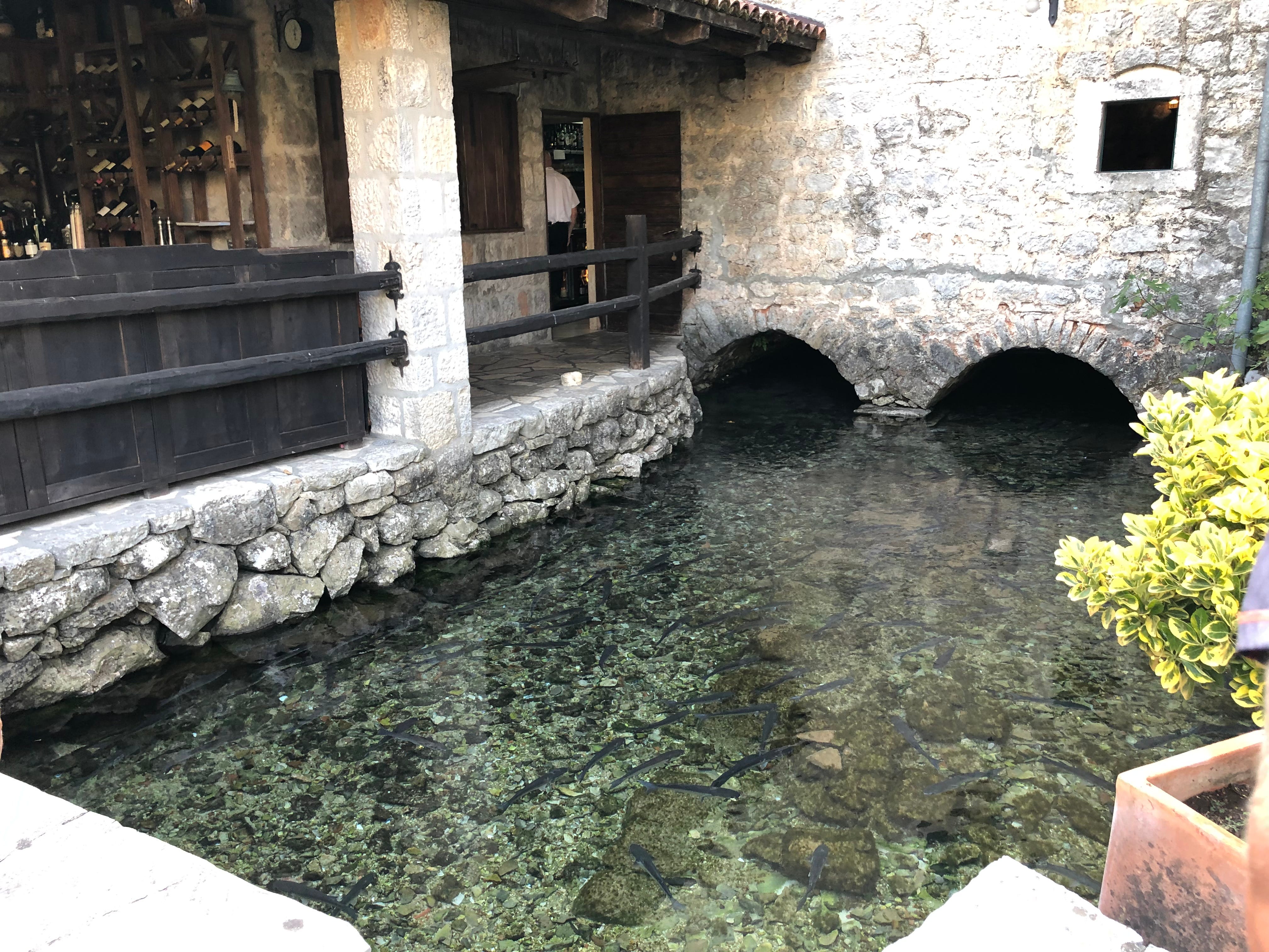 The Fish Restaurant - by Steve & Adrienne - Scappa