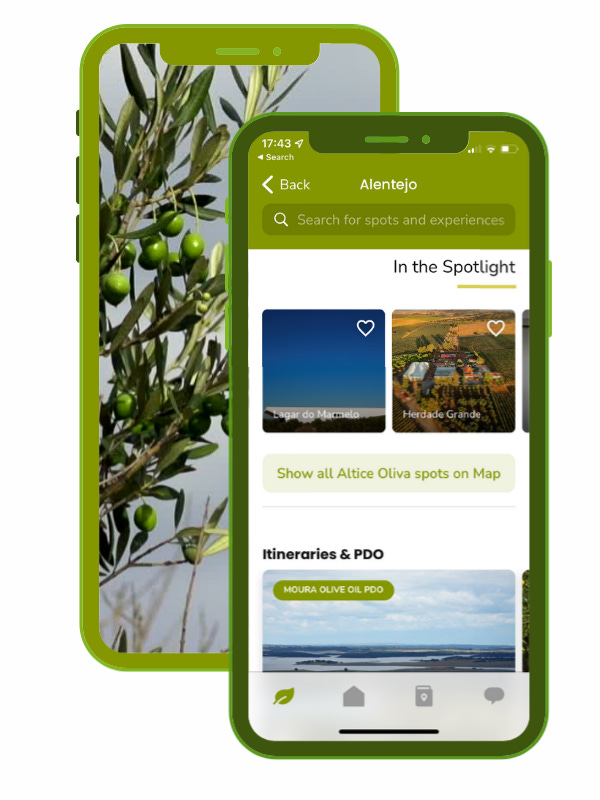 Altice Oliva APP :: Dec - by Hugo Almeida - Oliva & Med