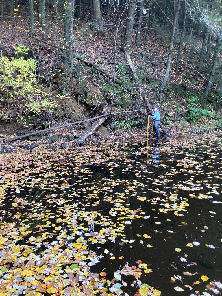 Pootatuck Stream Assessment, Part II