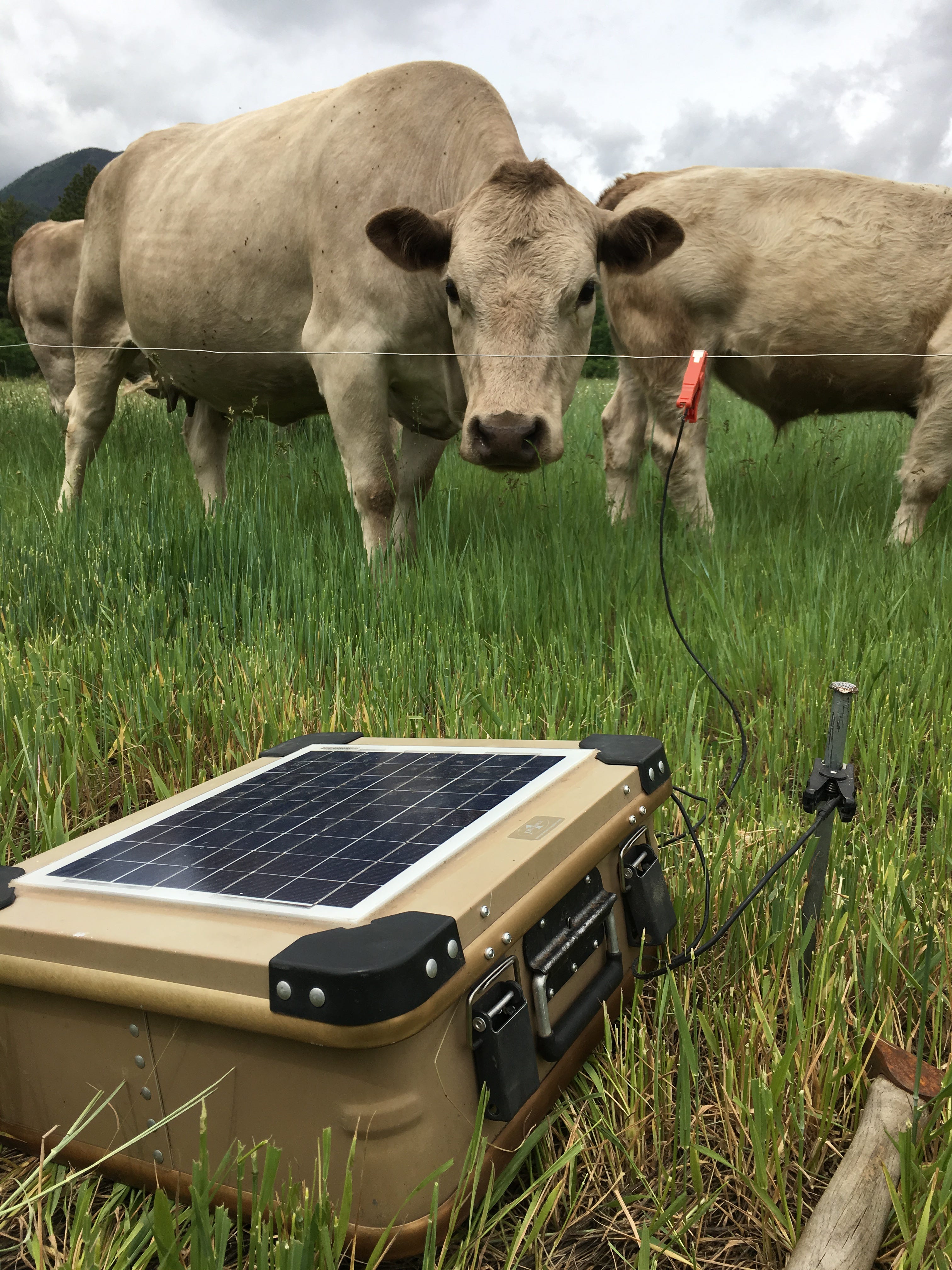 Mistakes of a Rancher - by Jordan Hedberg