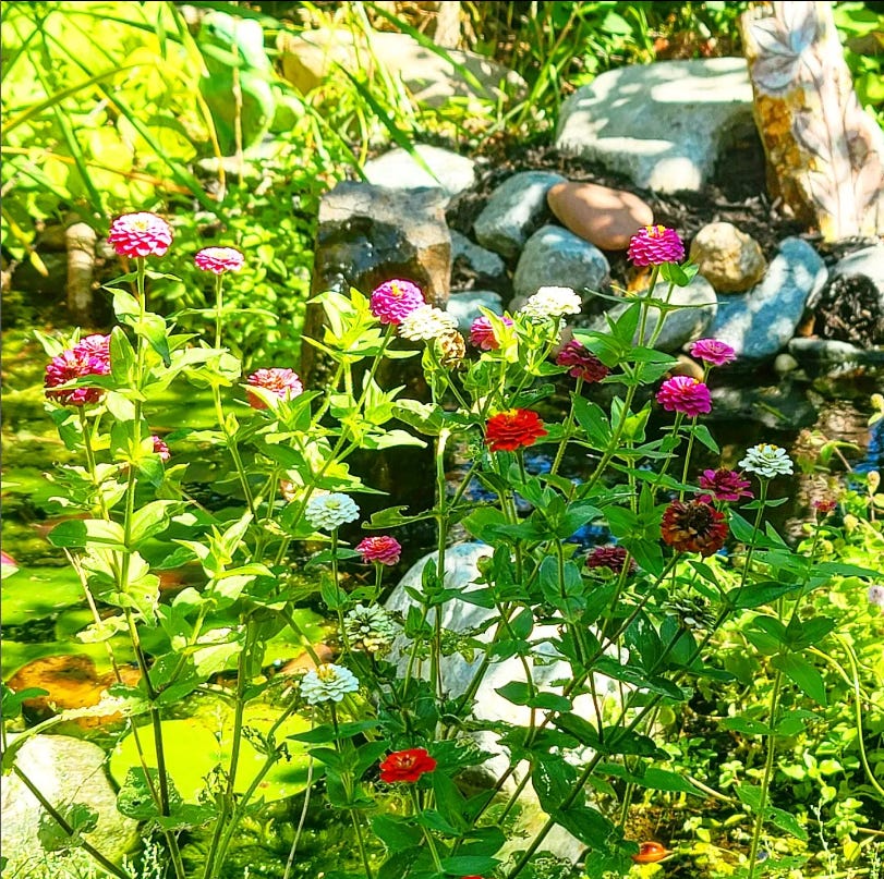 Hurley's Heroes | Kameron Hurley | Substack