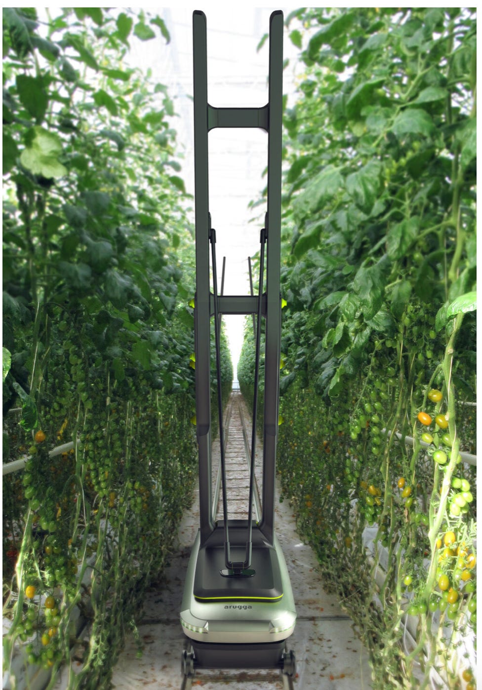 Electric Watercraft, Robot Pollination and Smart Gloves for gaming and ...