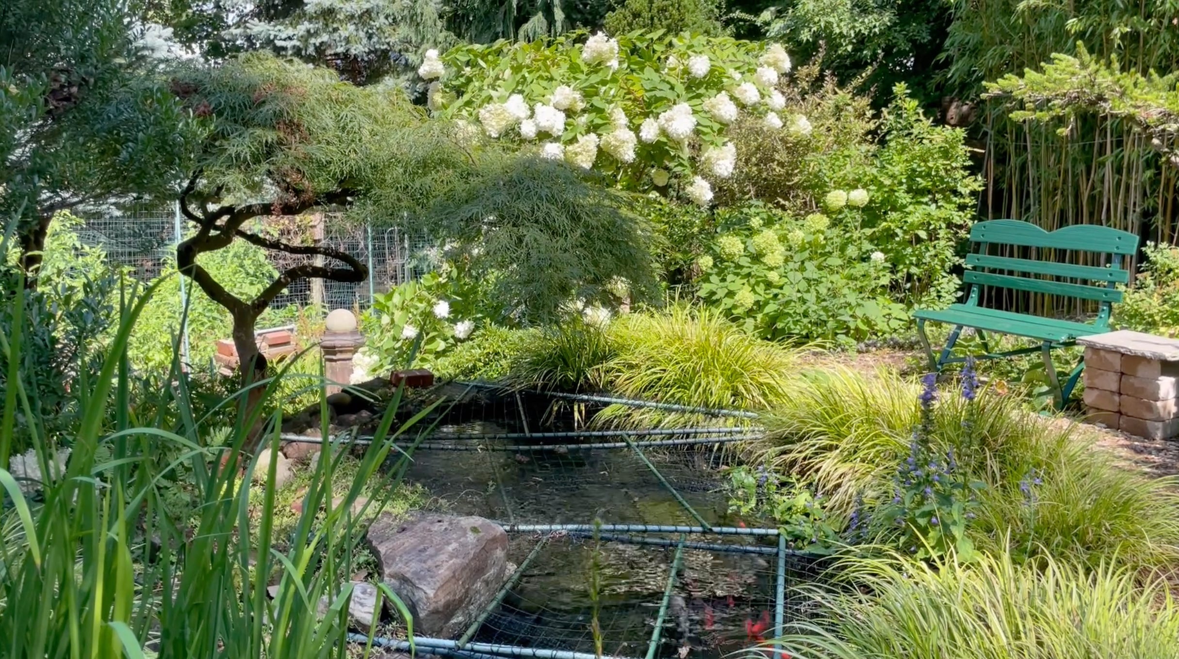 I Found Pittsburgh's Secret Garden - by Boaz Frankel