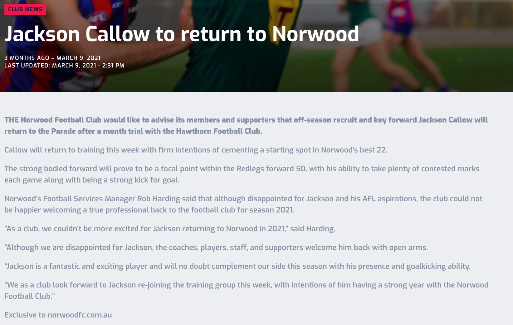 Everything you need to know about Jackson Callow