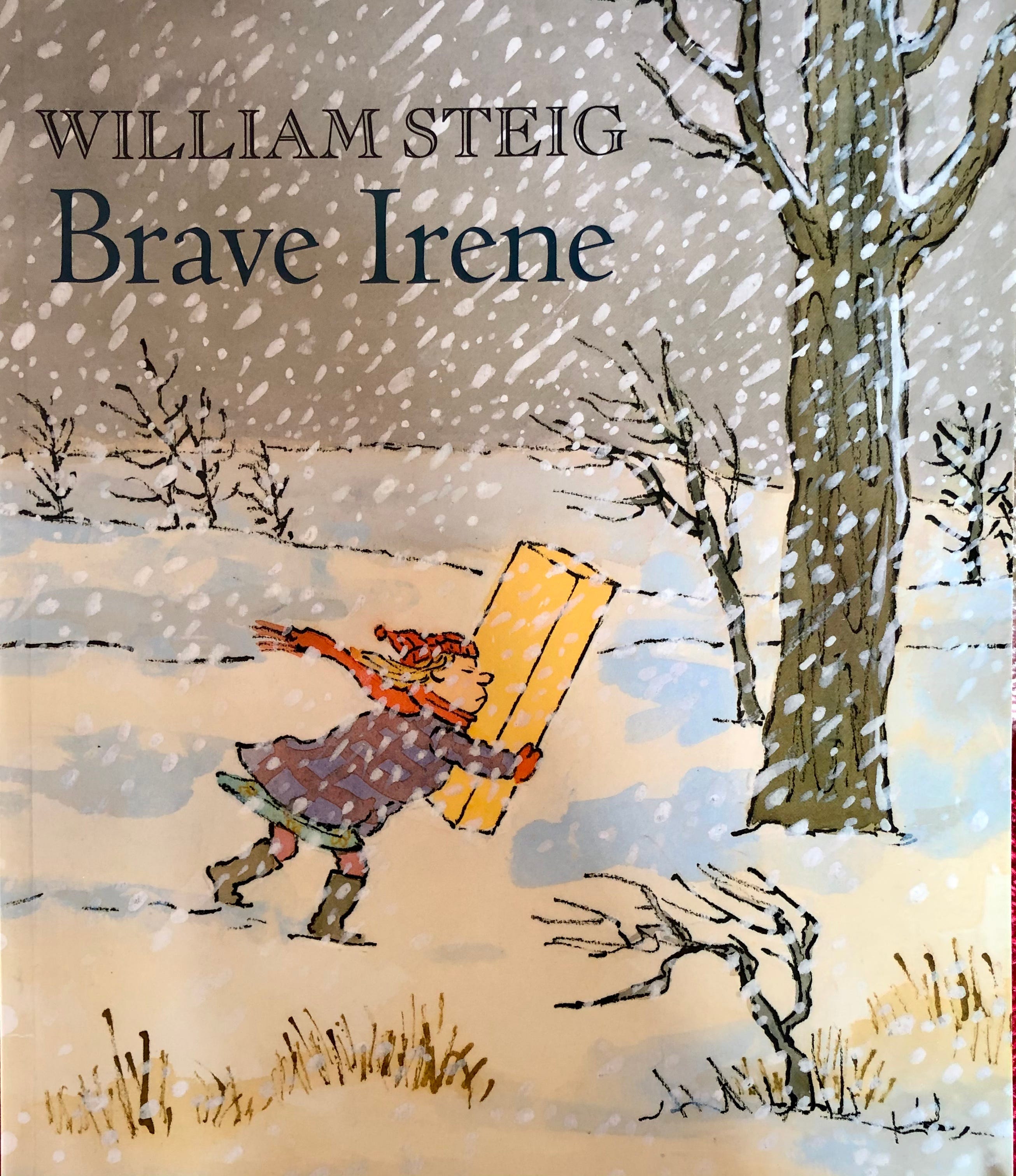 Brave Irene - by Roopa Baliga - House Full of Books