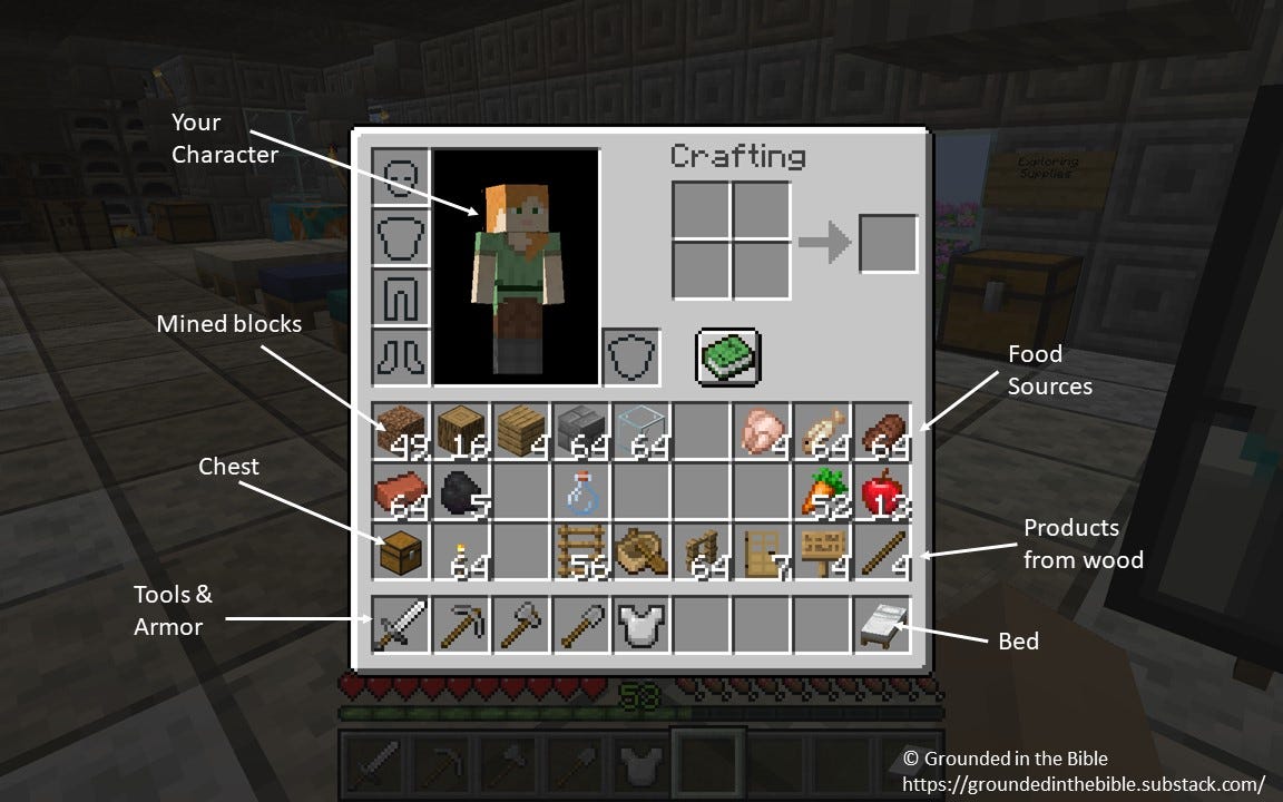 Overview of Minecraft for Beginners - by Karen Hoffman