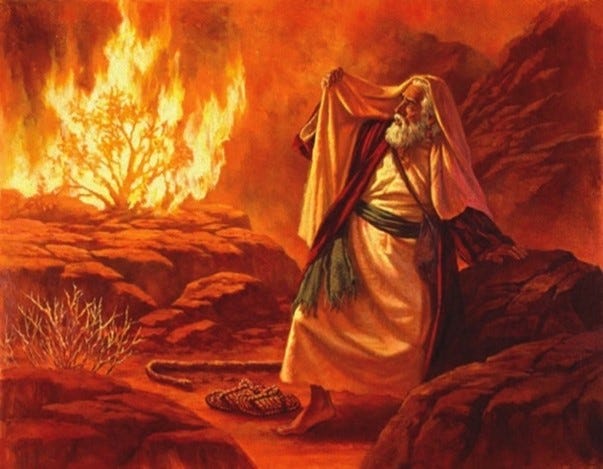 We are Standing on Holy Ground - by Deacon Mark Mueller