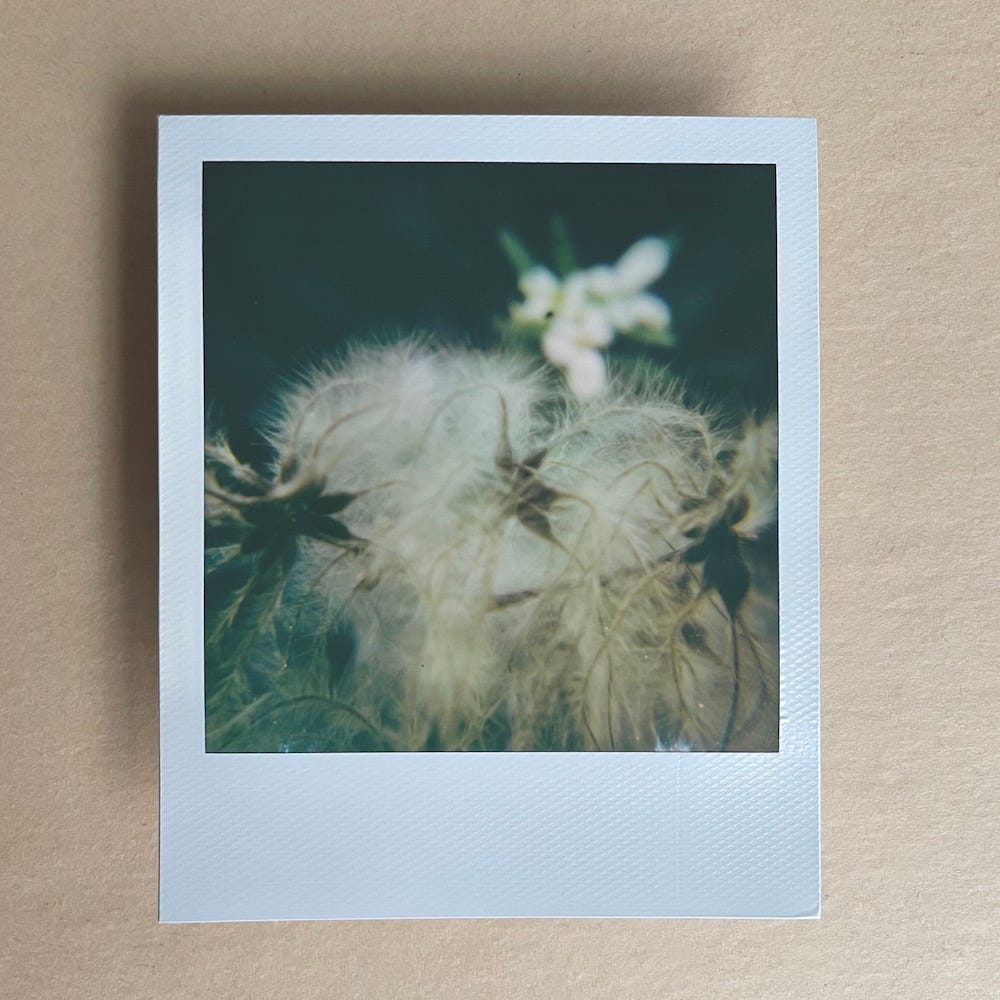 541 / whisps - by Marcus Fischer - Dust Breeding