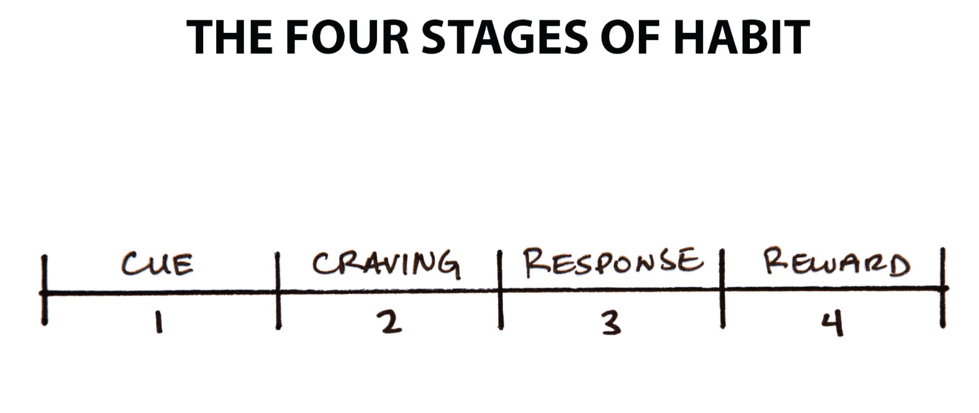 Are Your Habits Working for You? - by Janice Walton