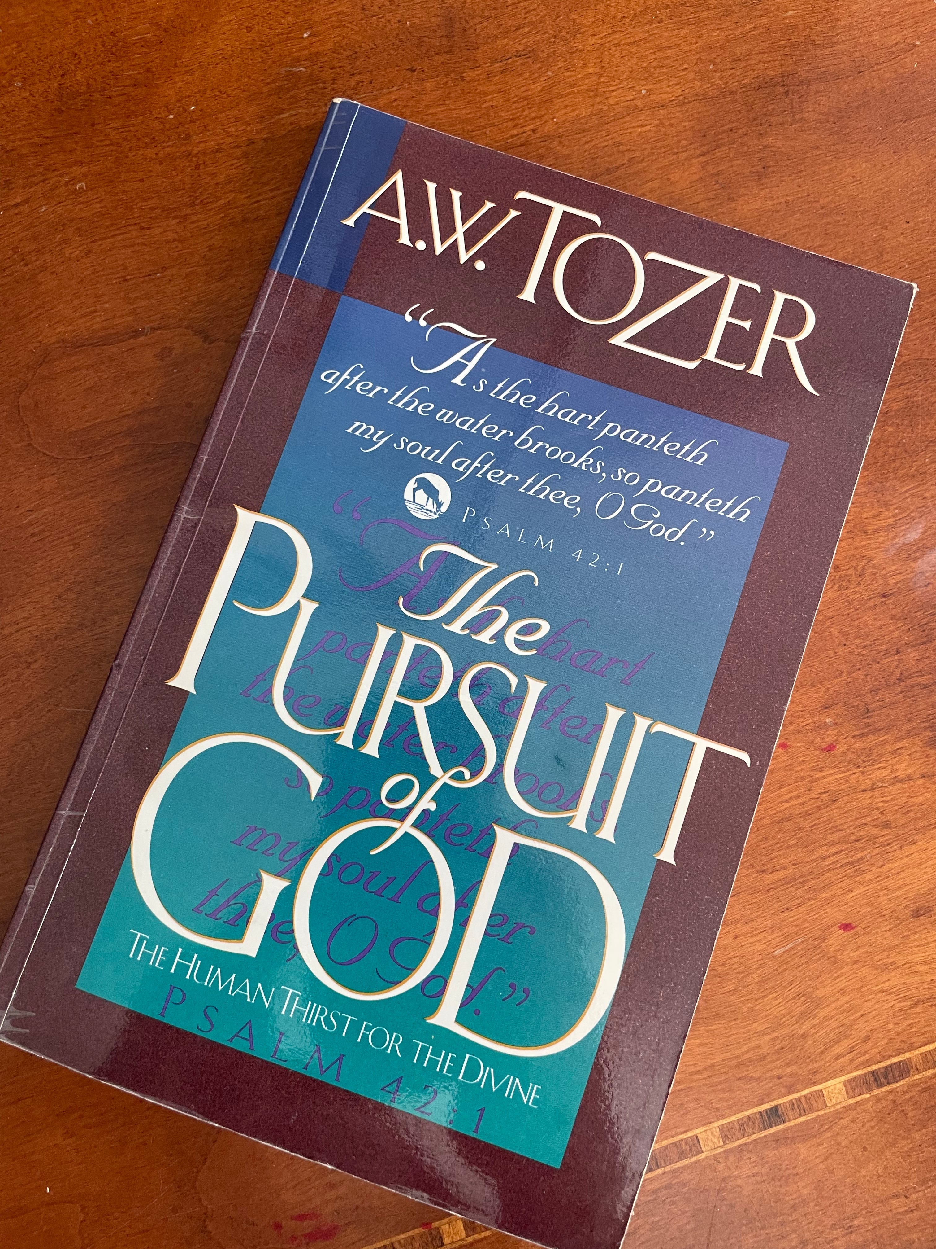 The Pursuit of God - Sarah Bessey's Field Notes