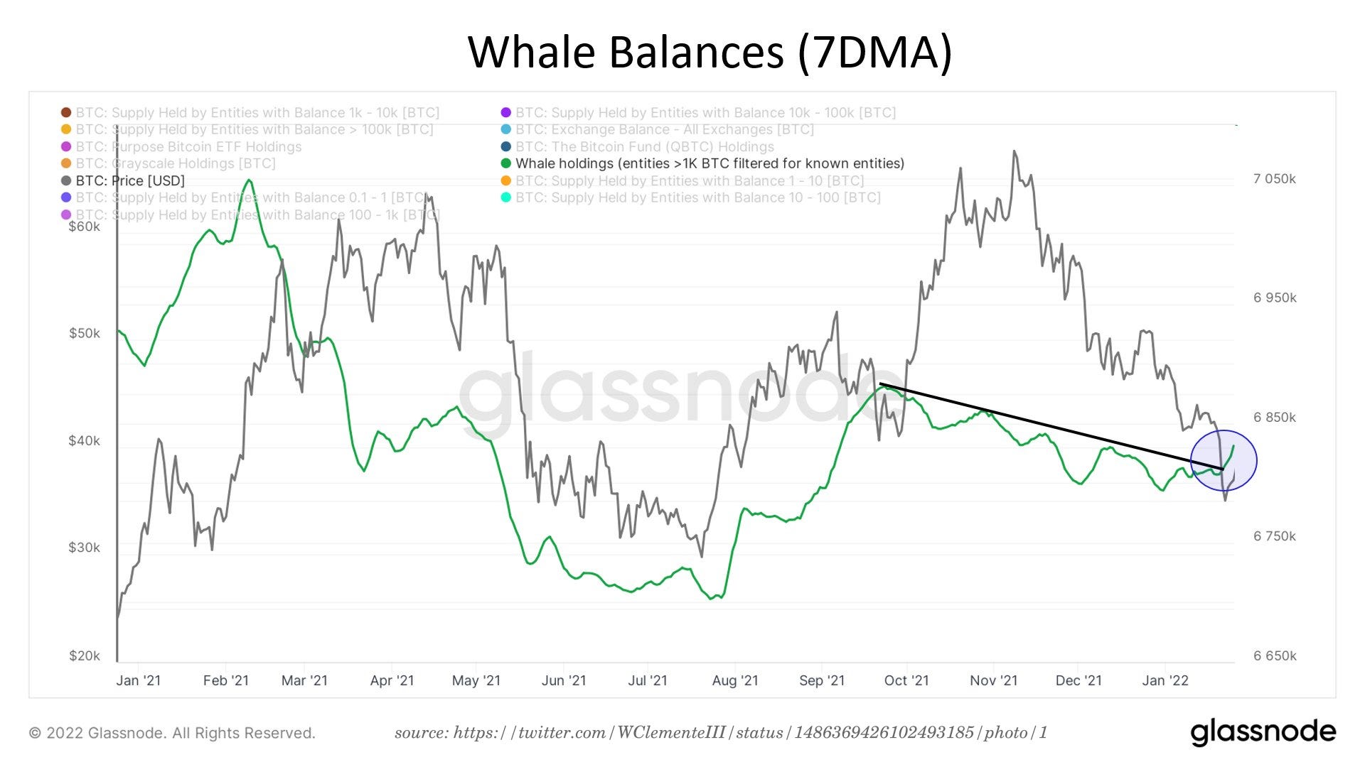 The Whales - Miglu’s Oracle