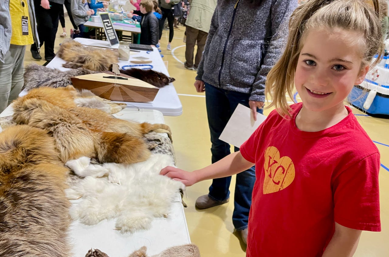 Peterson as a Museum - by Damon Hargraves - Puffin Press