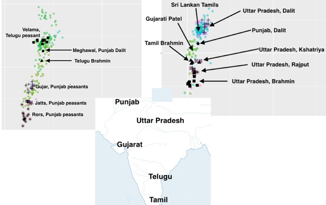 Passing the civilizational purity test: India's 3000-year caste ...