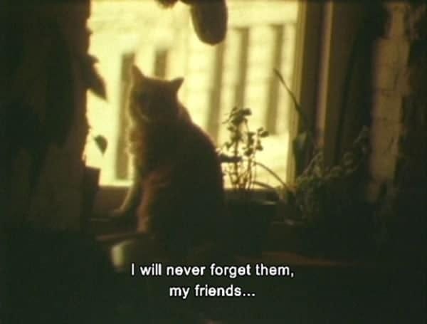 Puente | Mar | Substack