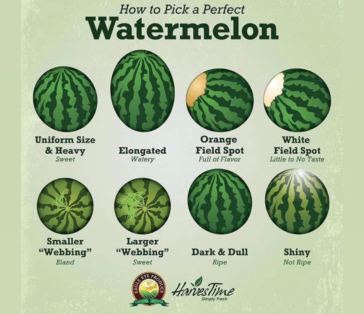 #185-How to Pick "Right" Watermelon? - by Aykut Karaalioglu