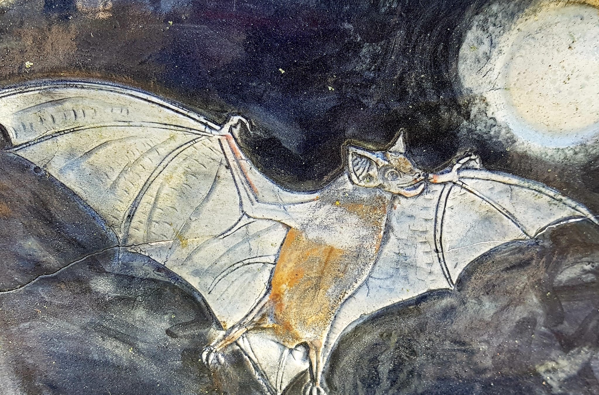 Tuning in to Bats - by Jane Smith - Jane C. Smith