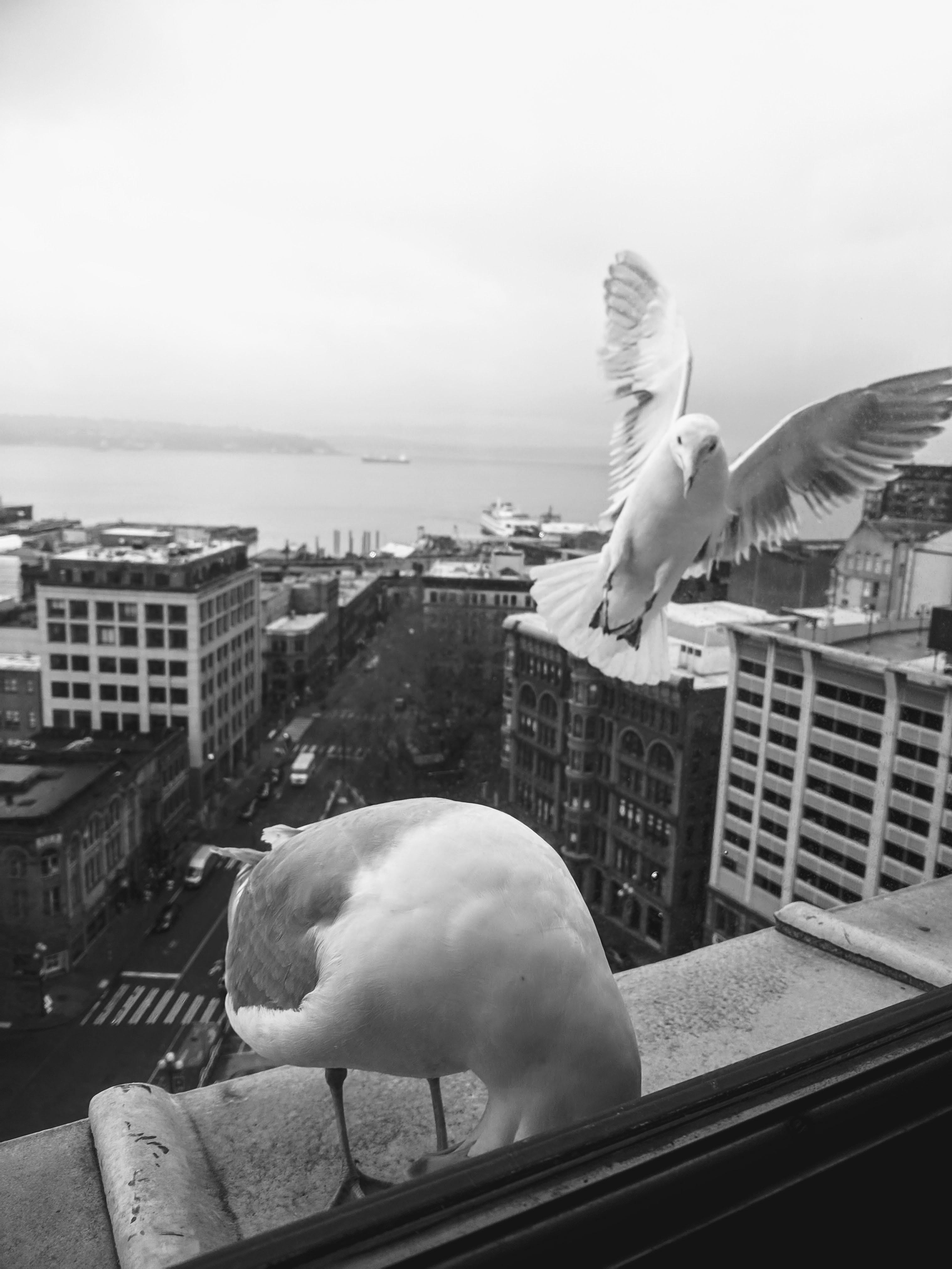 Eva Tallaksen | Substack