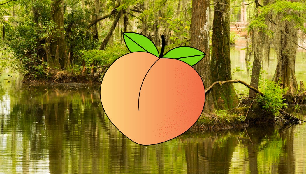 #19: My Swamp Ass Evolved into a Self-Sustaining Ecosystem