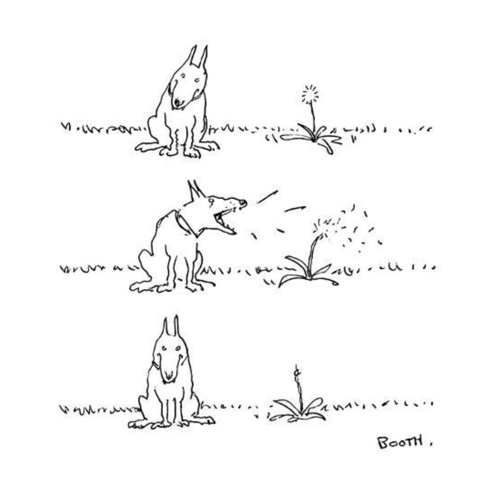 George Booth, New Yorker Artist - by Liza Donnelly