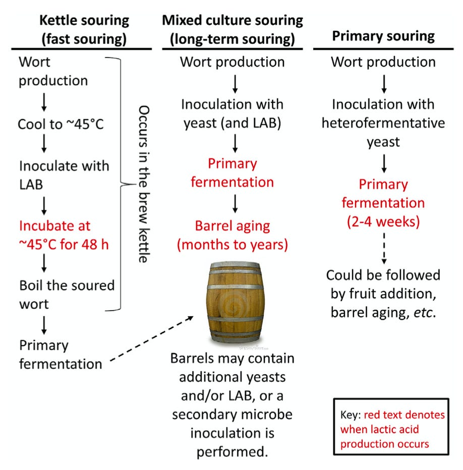 Primary Souring to Brew Sour Beers - by Uncle Traveling Ed