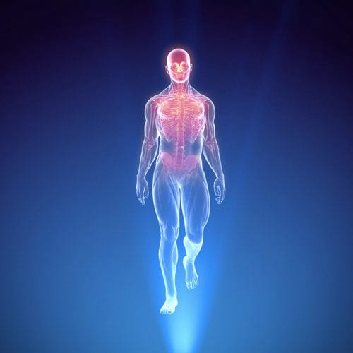 Epoch 11 - Biotech Full Body Scan - BowTiedBiotech