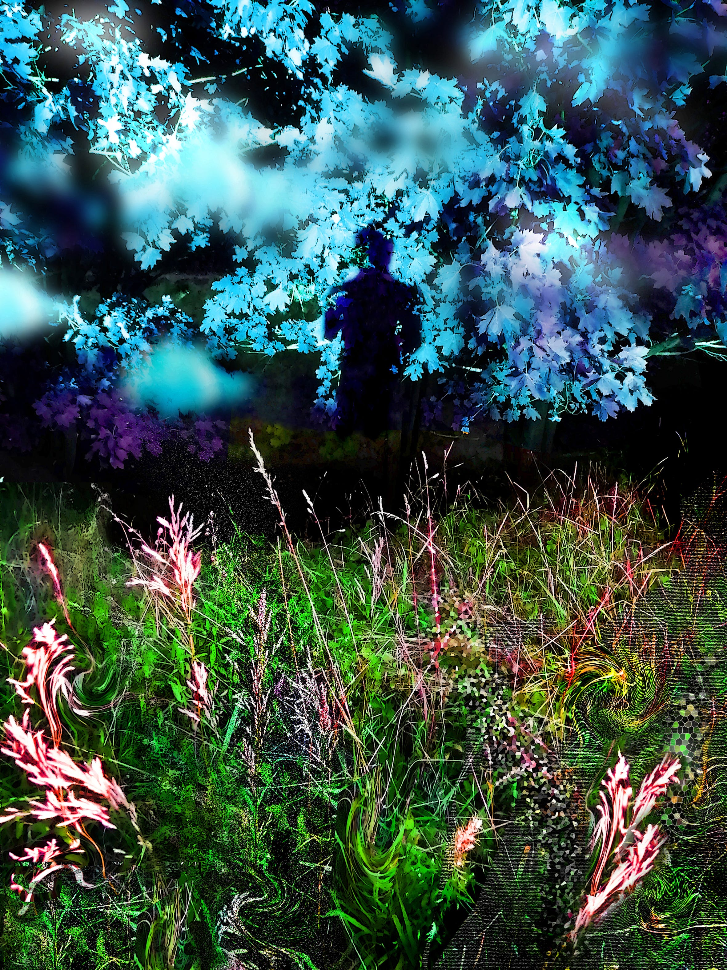 Interview with Roderick van der Lee, Amsterdam’s Unseen Photo Fair ...