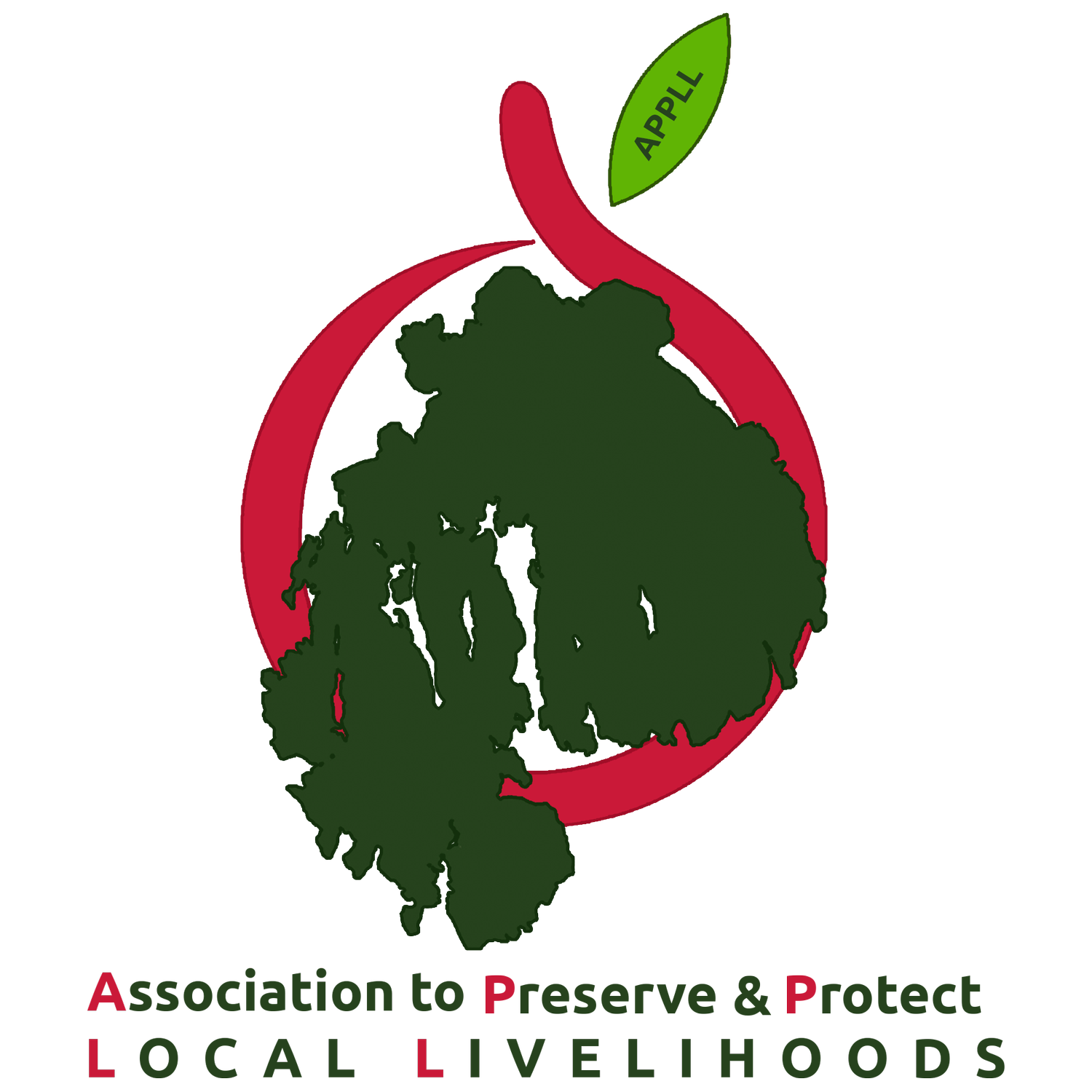 Businesses Take The New Cruise Ship Disembarkation Plan to Court