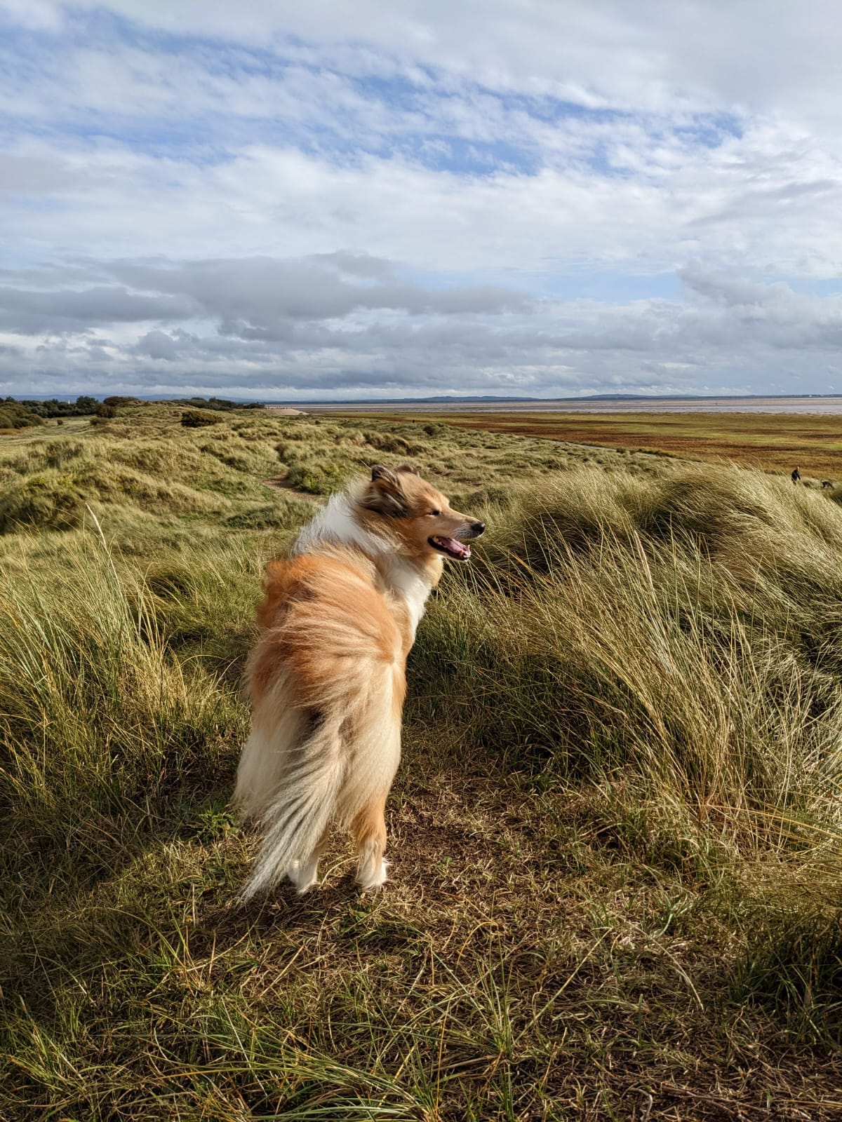 Reading the stories we think we know - by Katie Clapham