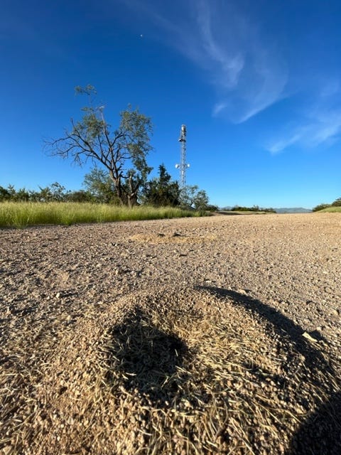 After Years of Tribal Resistance, DHS Finishes its “Virtual Wall” on ...