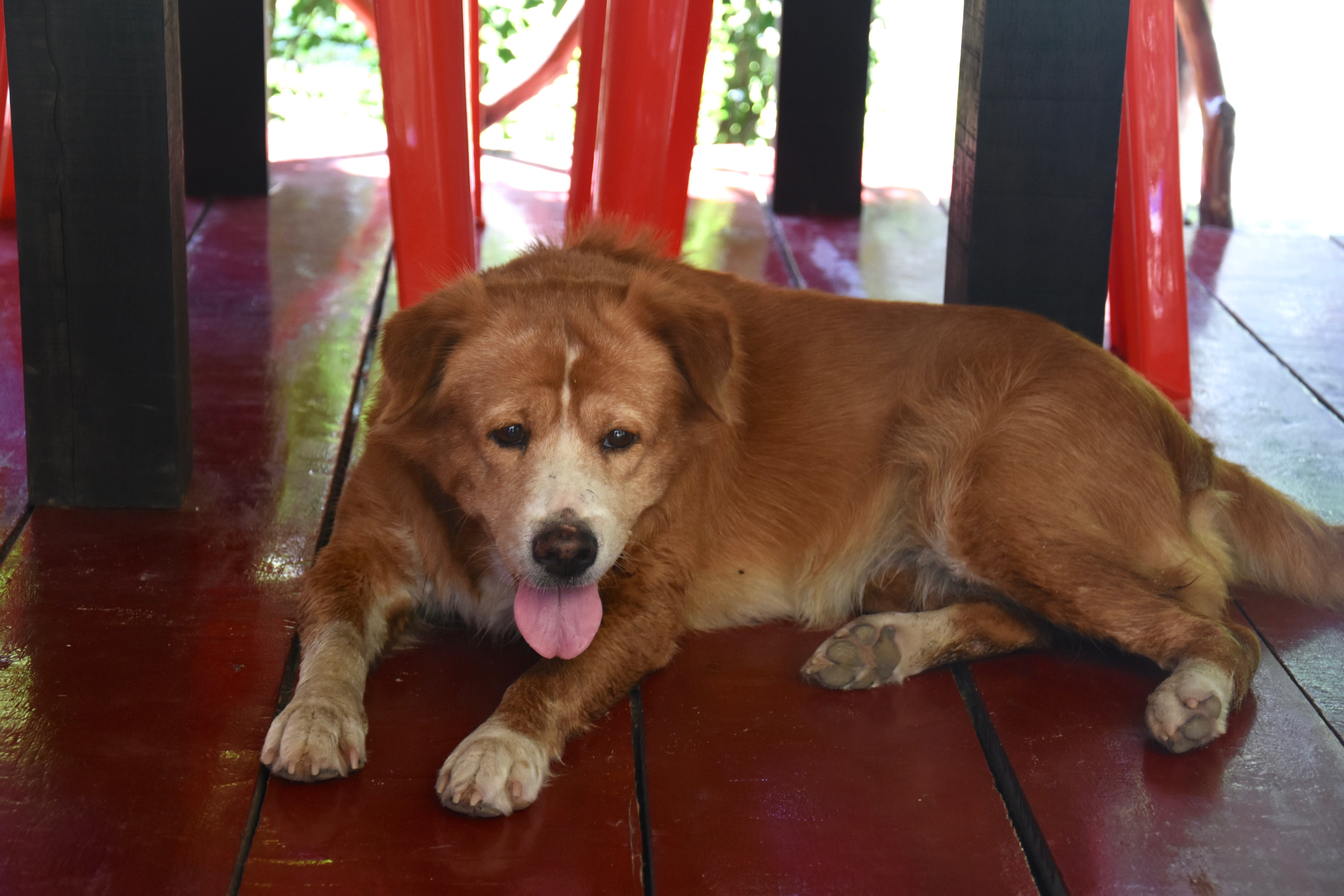 Remembering Wally Sanger of Ko Kradan, Hawaii and the open seas