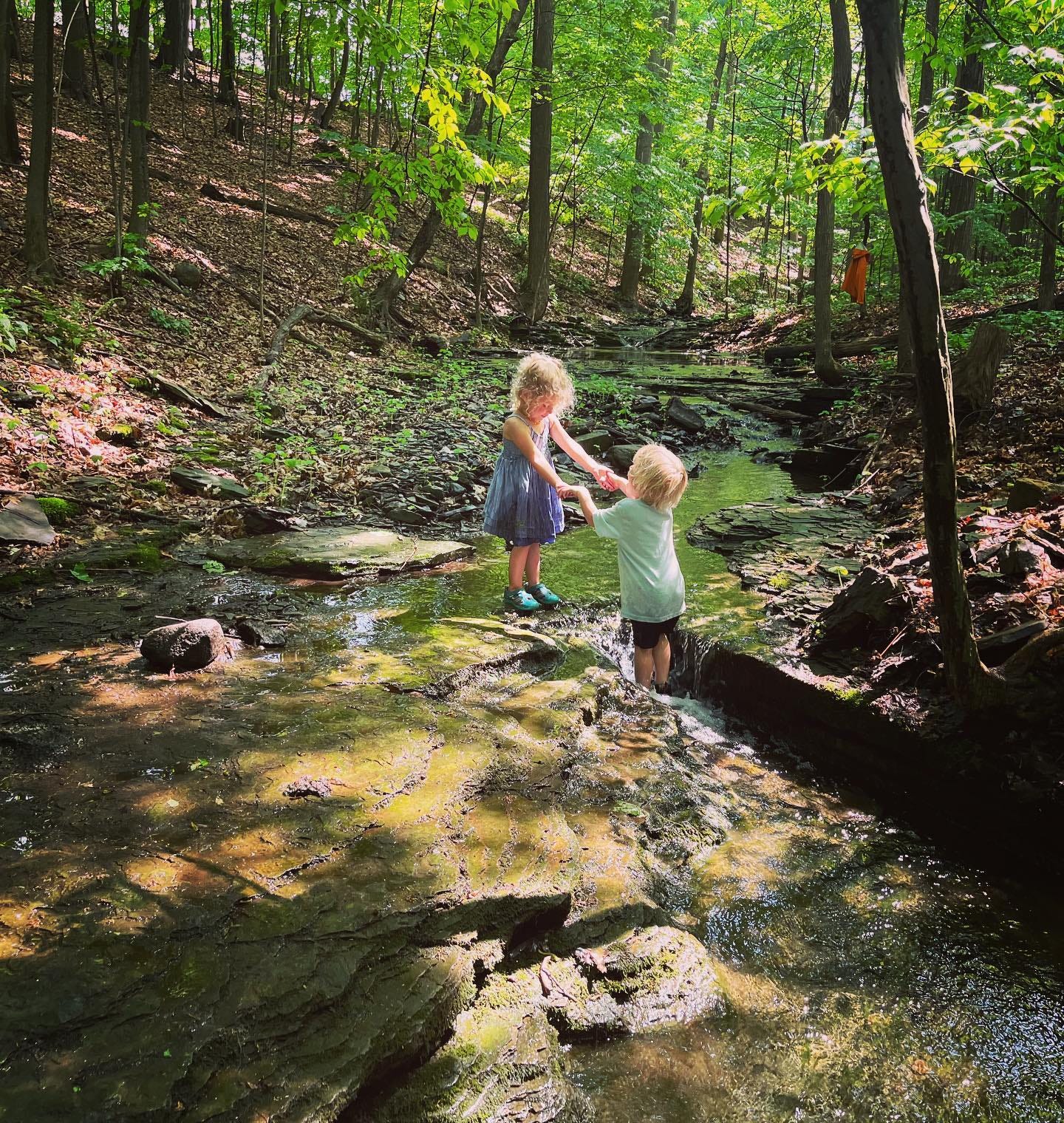 TO DO - by Caroline Manring