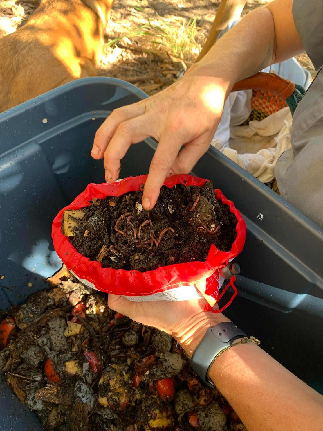 [GUIDE] How to get started with vermicomposting