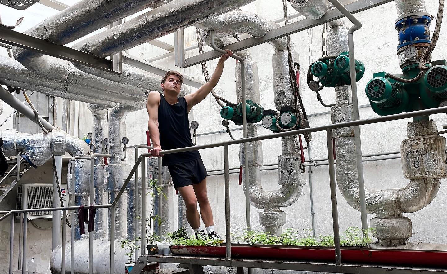 Rising star Niko Becker - by Anitta Pelin - Spații Noi