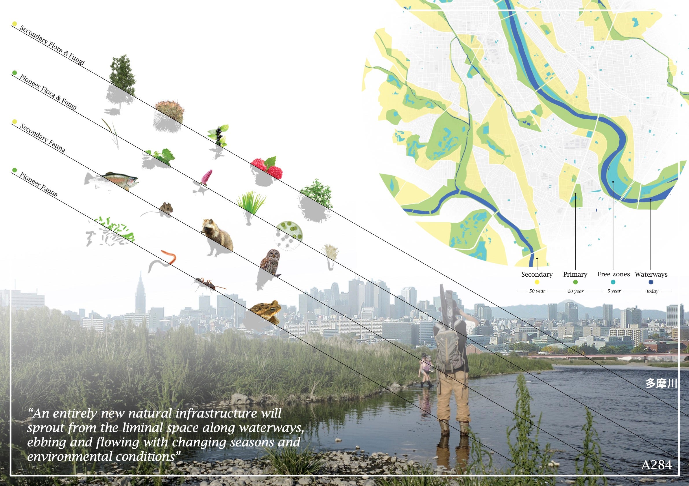 The Shapes and Practices of Preservation.