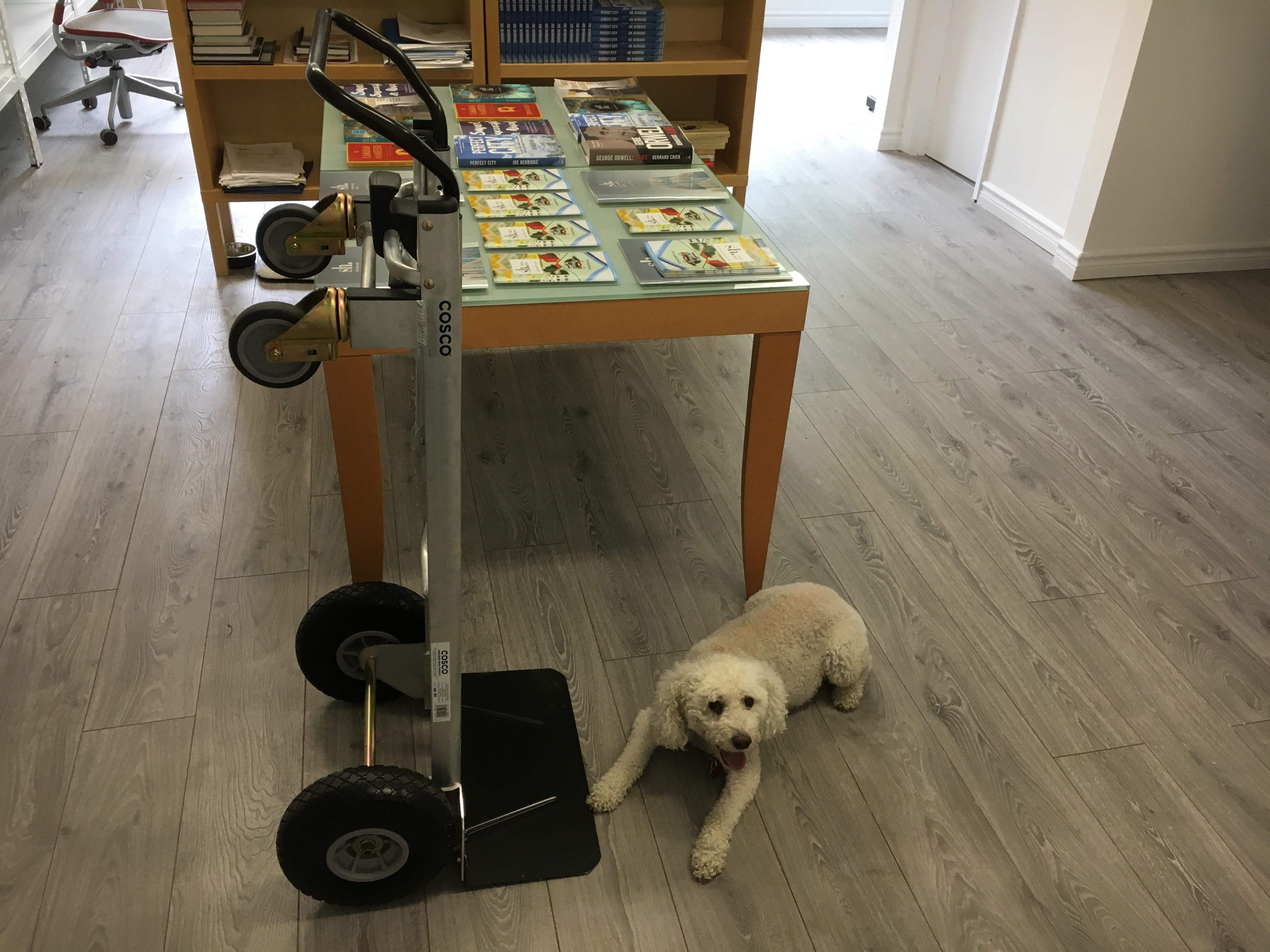 Employee No. 1 - by ken whyte - SHuSH, by Kenneth Whyte