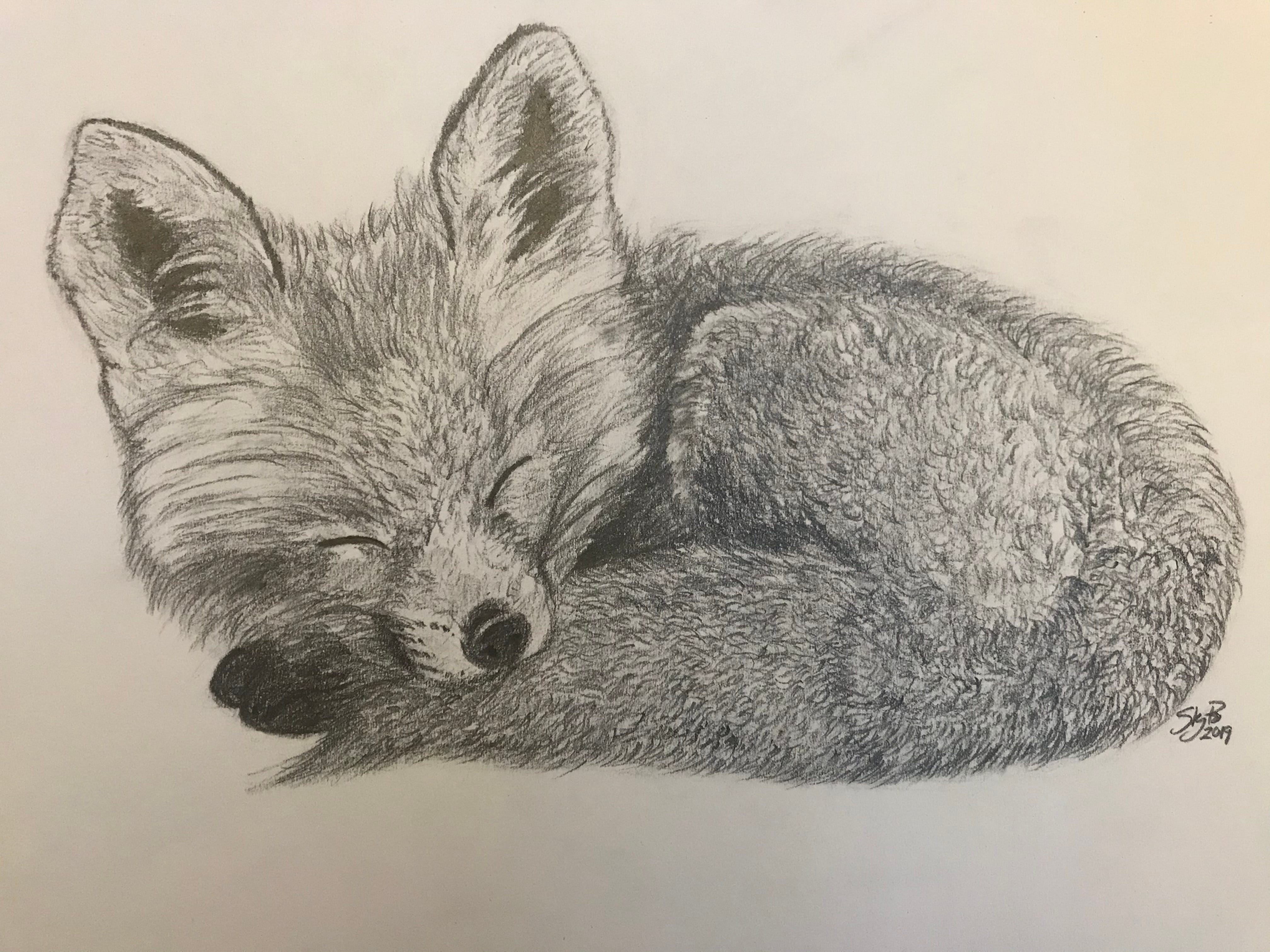 Birthday Bear - by Skylar - SkyB Art