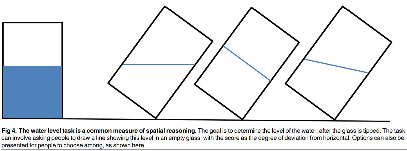 #2 Standardised Tests Overestimate Female Intelligence