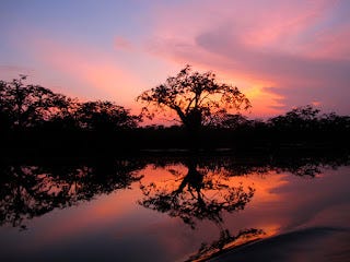 Región, Provincias y Plan de Desarrollo Regional