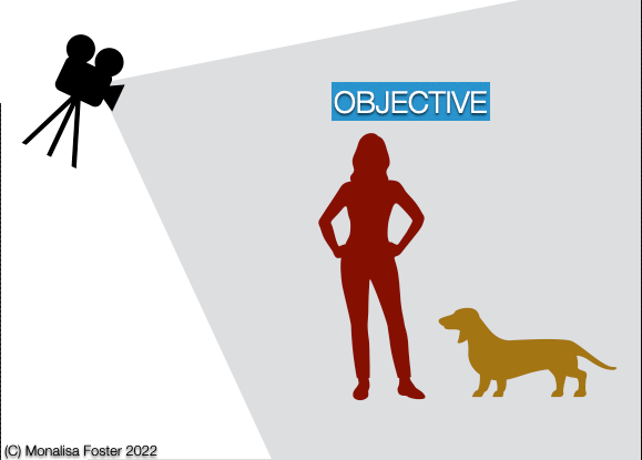 Differences between Objective and Omniscient viewpoint (Part 1)