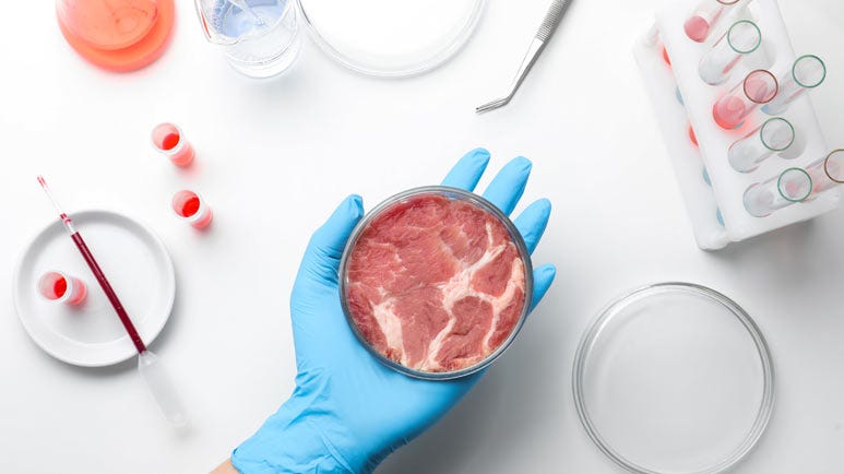 The Lies Behind Lab-Cultured Fake Meat