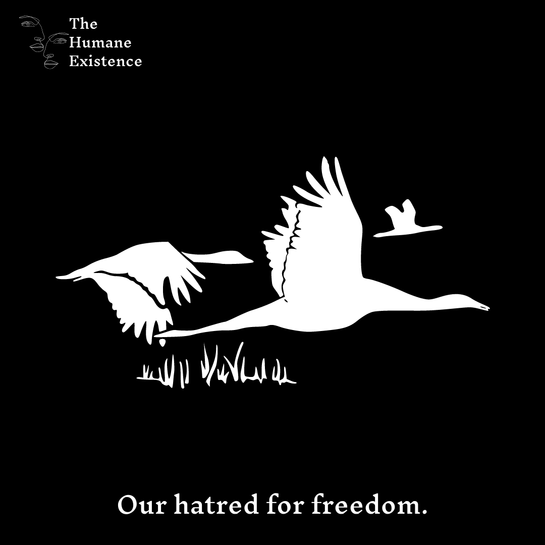 Secret Letter 2 #2 - The Humane Existence