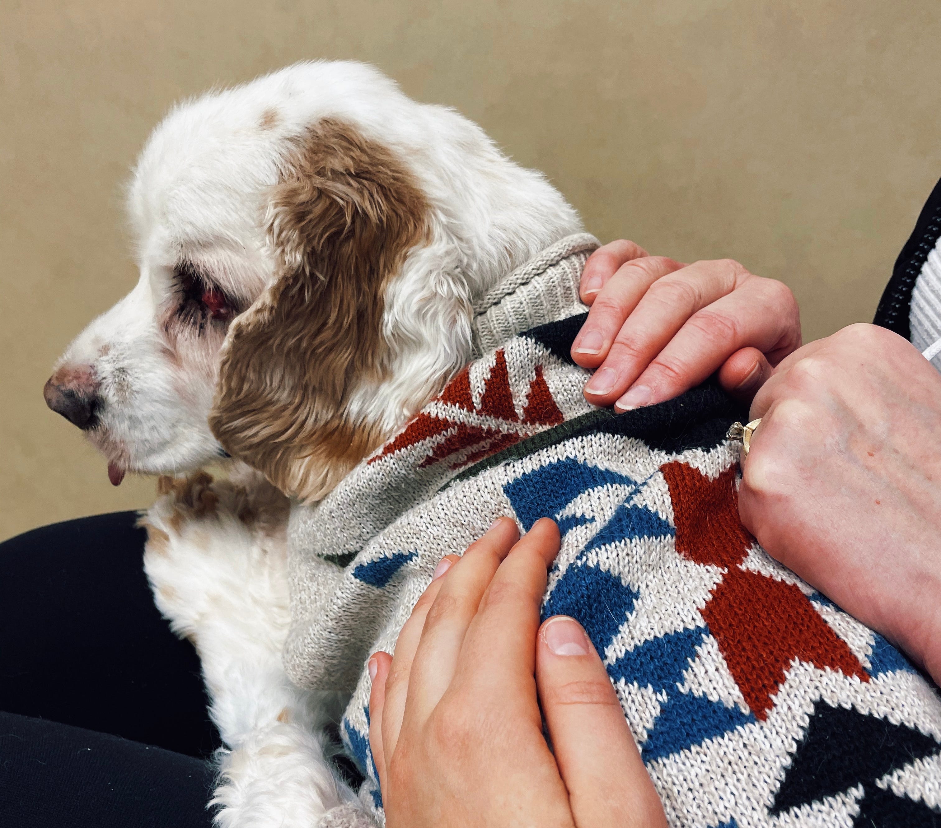 the more you know #10 - by Sarah Madaus