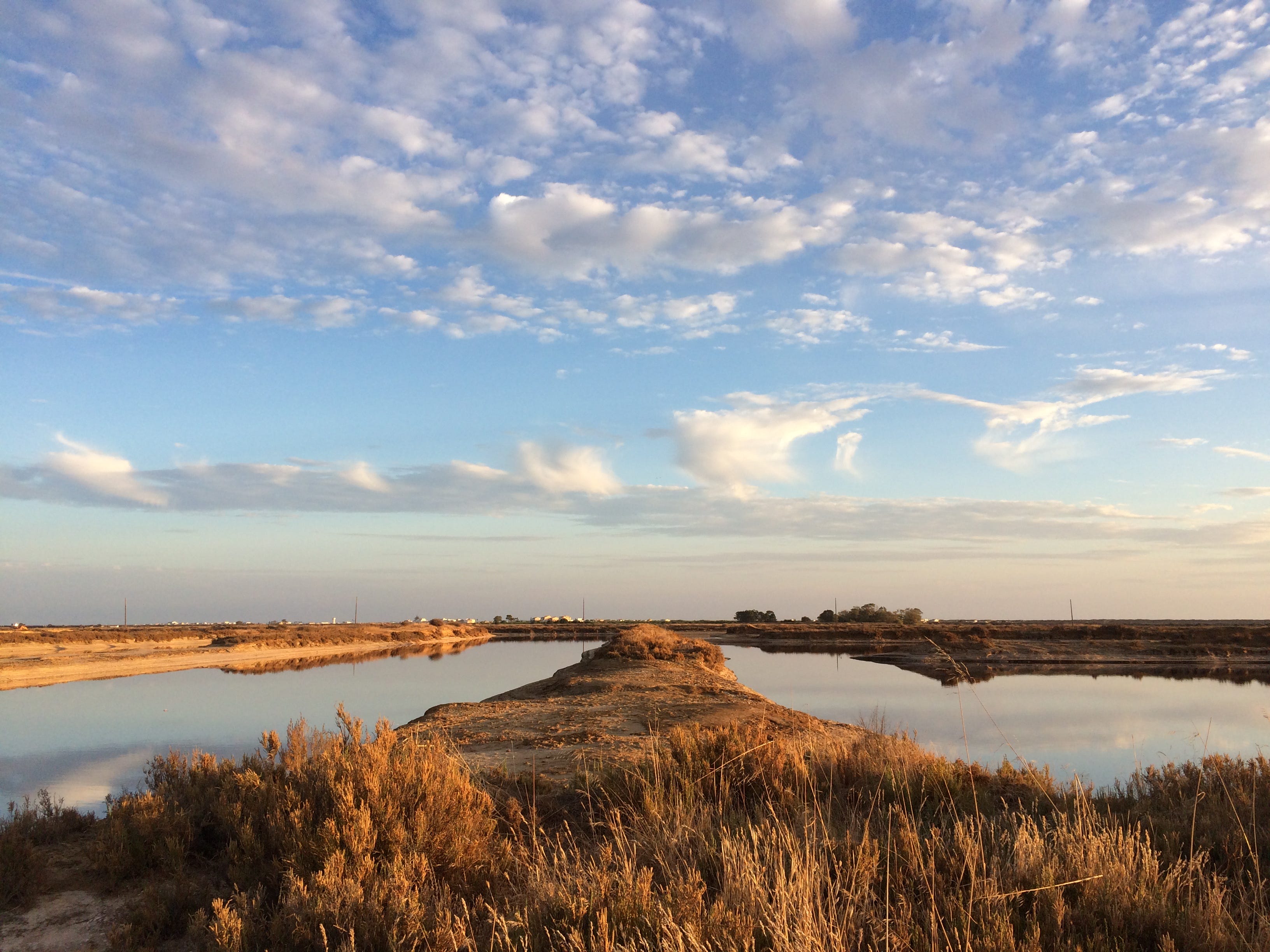 The beautiful and ever changing Ria Formosa - by Diana