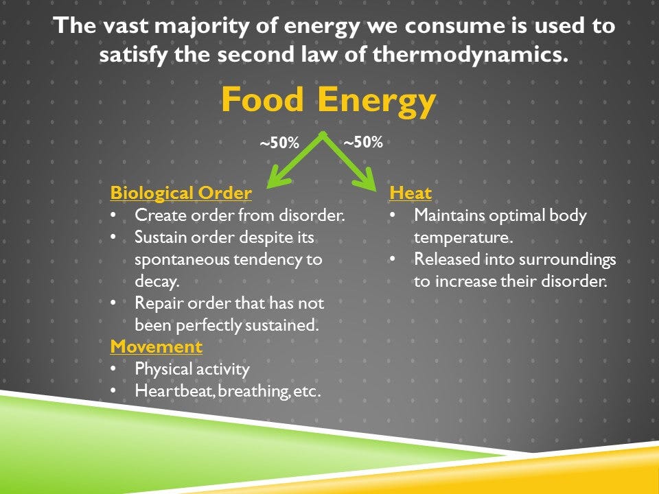 1. Thermodynamics, Energy, and Order