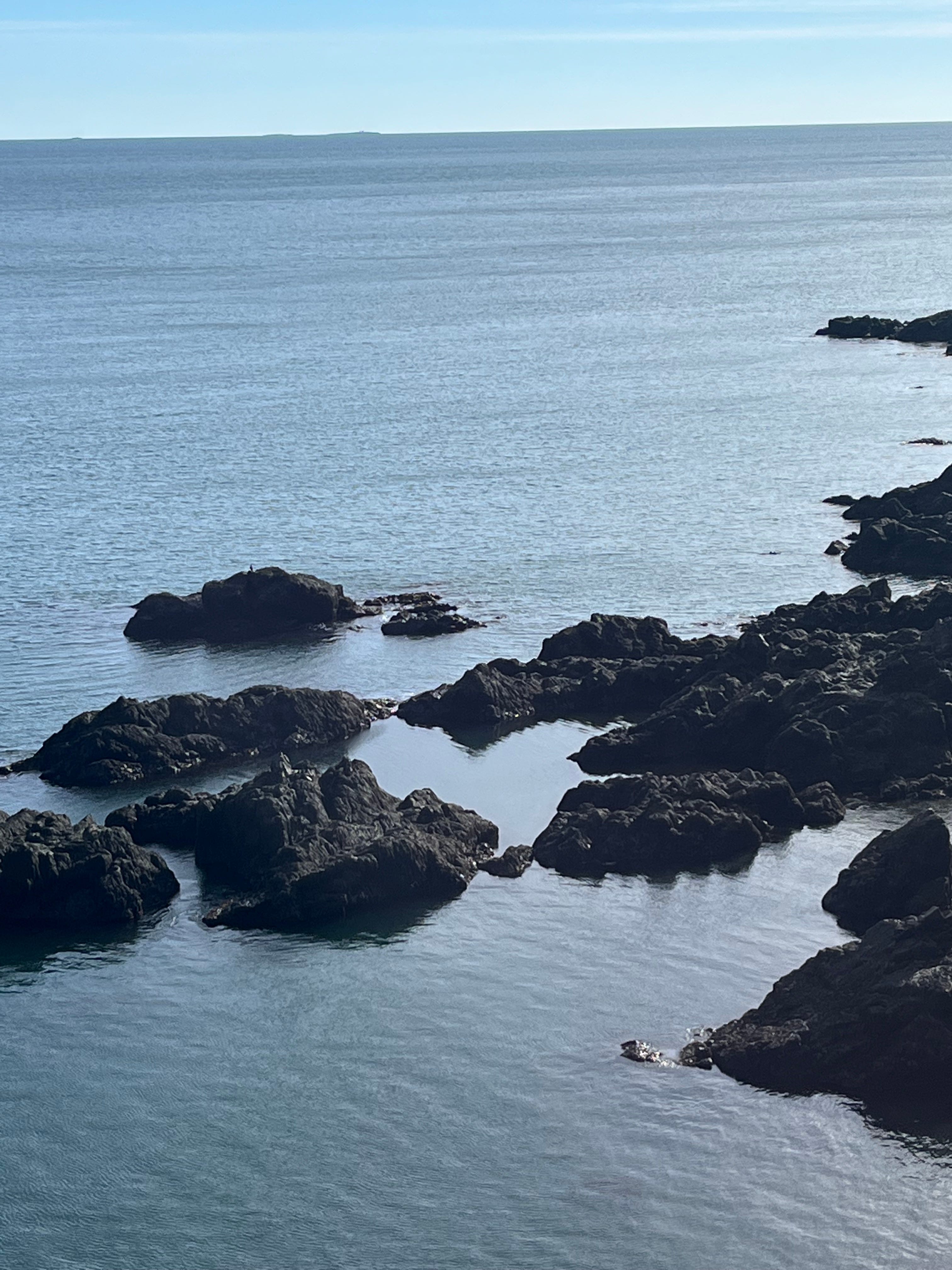 eat before the task - by Ruby Ted - conscious contact