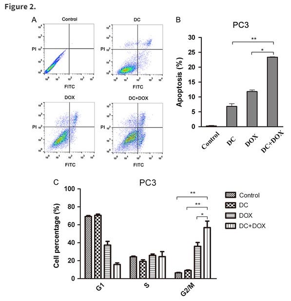 Repurposing of the antibiotic Doxycycline as an antiviral and anti ...