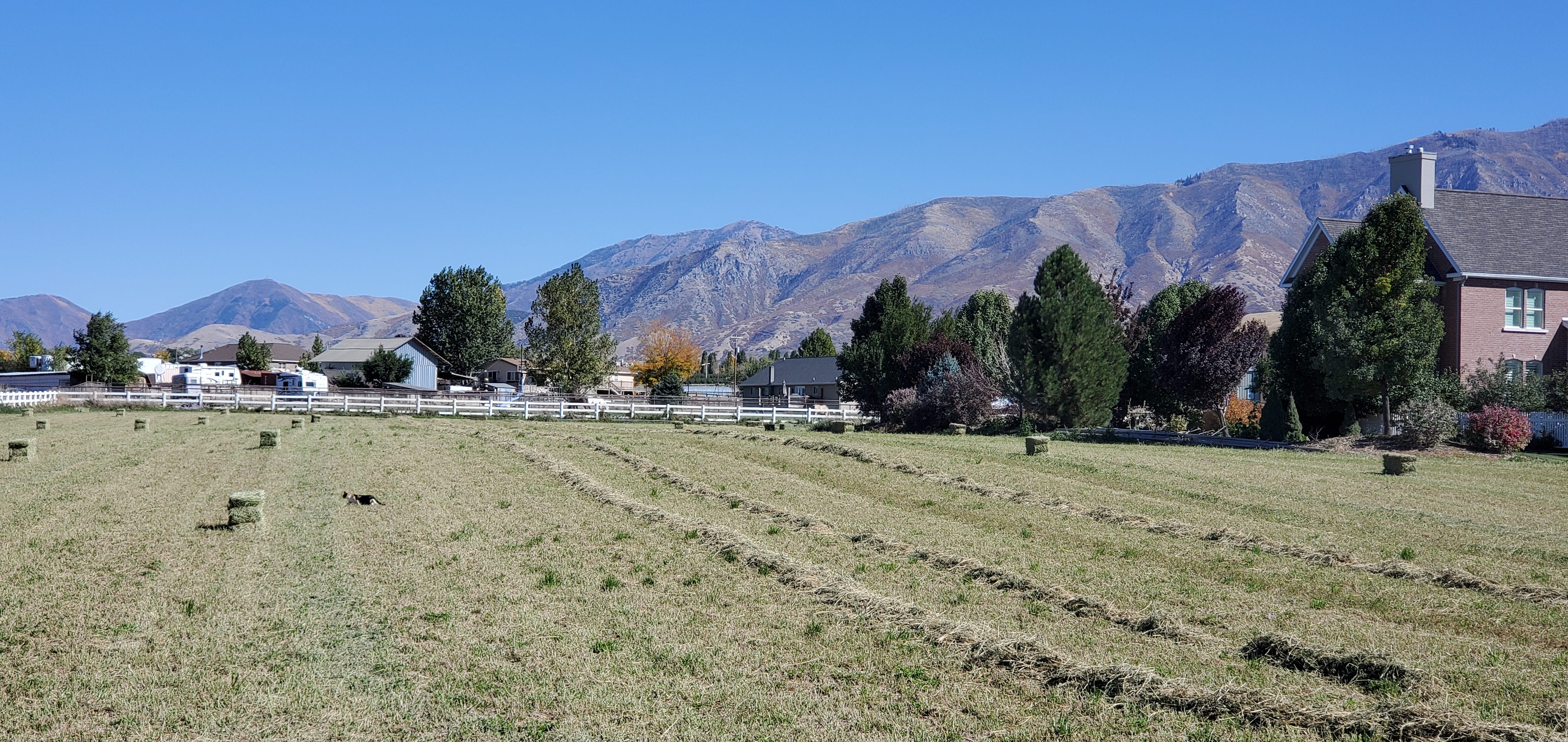 Genola Blues - by Litarvan - From Draper With Love