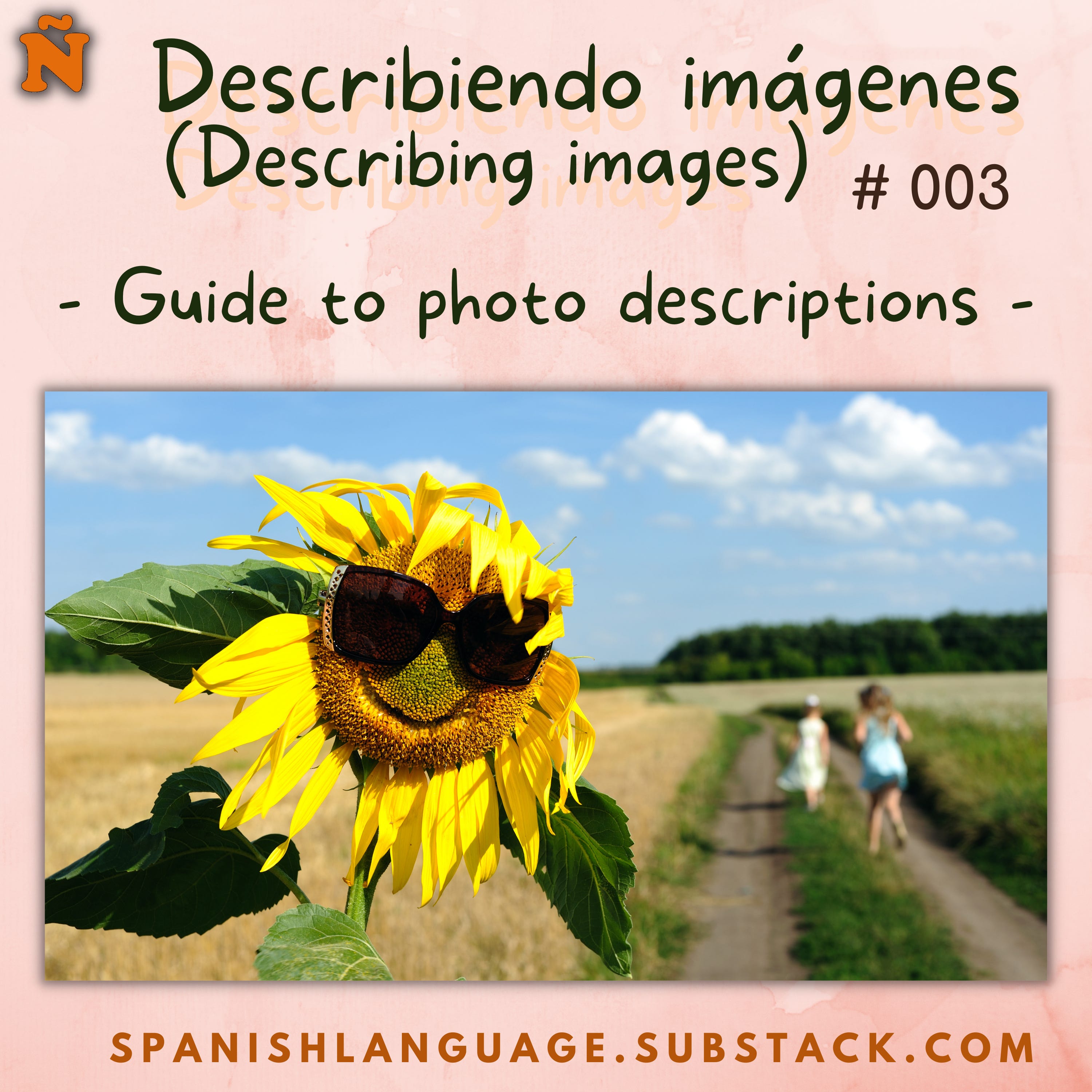 How to describe images in Spanish? (003)
