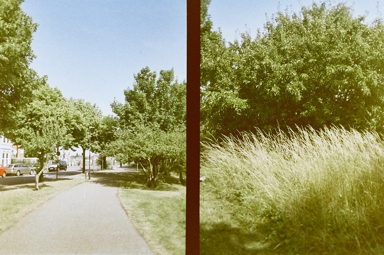 Kodak Ektar 35 Half Frame Camera - First Impressions